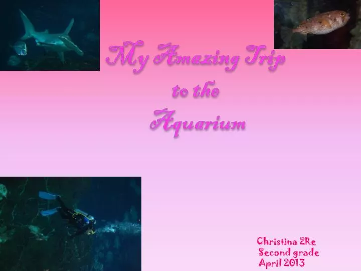 PPT - My Amazing Trip to the Aquarium PowerPoint Presentation, free ...