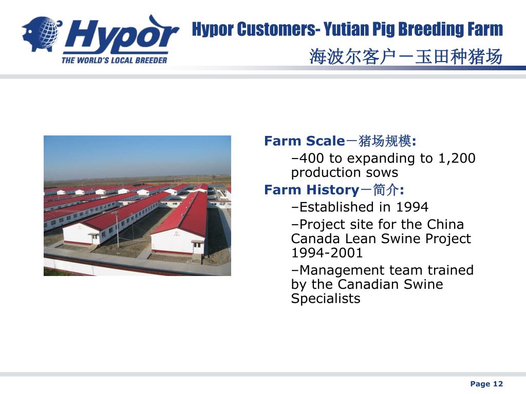 Ppt Hypor In China Powerpoint Presentation Free Download Id 4863735