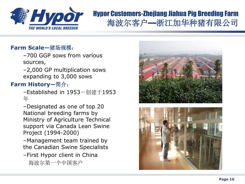 Ppt Hypor In China Powerpoint Presentation Free Download Id 4863735