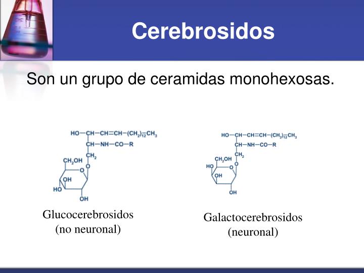 PPT - Unidad V: Química de Lípidos PowerPoint Presentation - ID:4864019