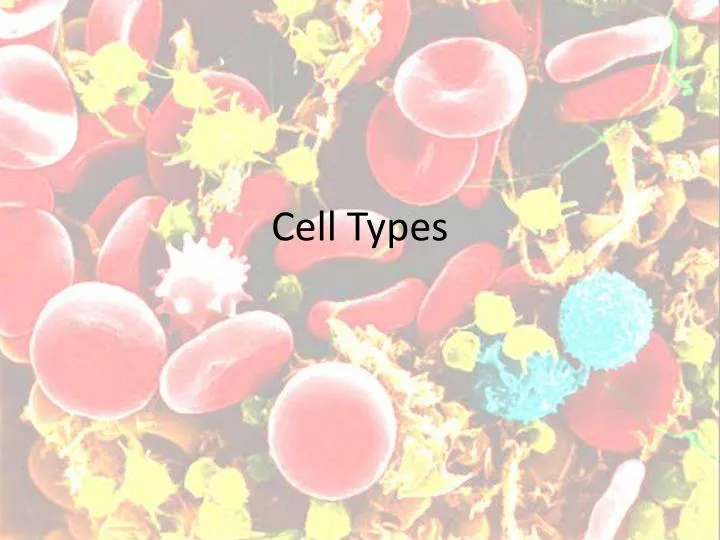 PPT - Cell Types PowerPoint Presentation, free download - ID:4864865