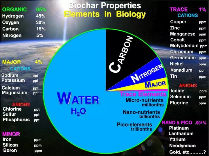 PPT - Elements in Biology PowerPoint Presentation, free download - ID ...