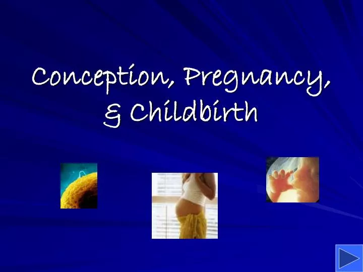 PPT - Conception, Pregnancy, & Childbirth PowerPoint Presentation, free ...