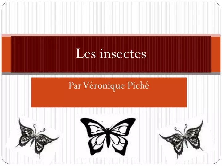 PPT - Les insectes PowerPoint Presentation, free download - ID:4866217