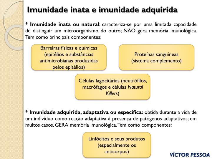 PPT - SISTEMA IMUNOLÓGICO PowerPoint Presentation - ID:4868504