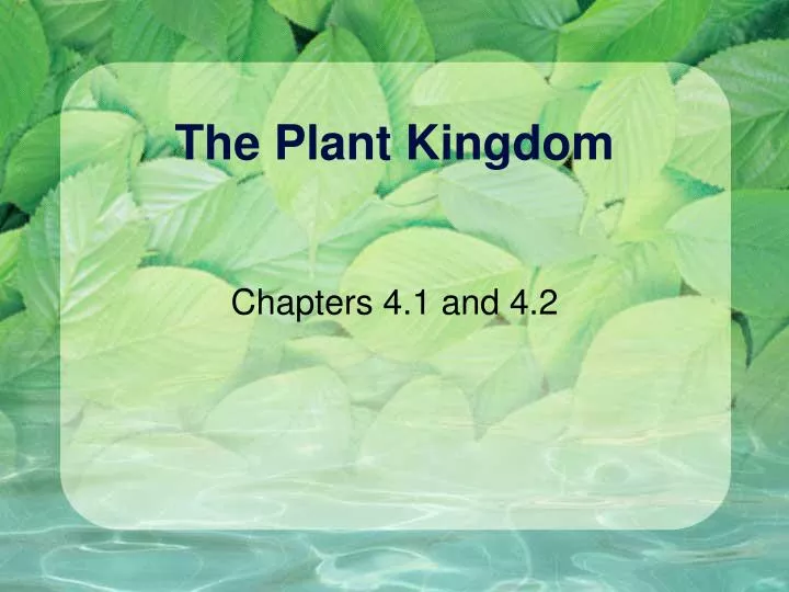 PPT - The Plant Kingdom PowerPoint Presentation, free download - ID:4868873