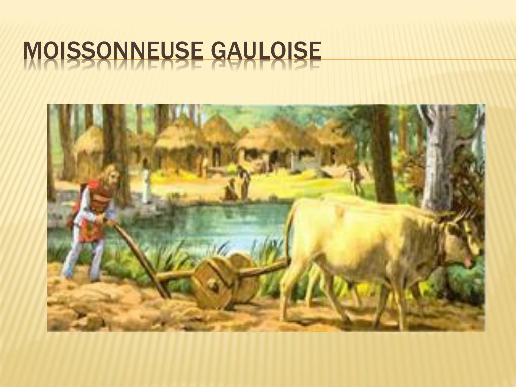 PPT - Les gaulois: Agriculture, artisanat et commerce PowerPoint ...