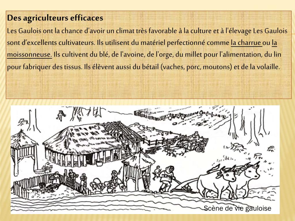 PPT - Les gaulois: Agriculture, artisanat et commerce PowerPoint ...