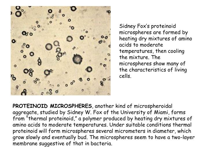 PPT - THE ORIGINS OF LIFE PowerPoint Presentation - ID:4871234
