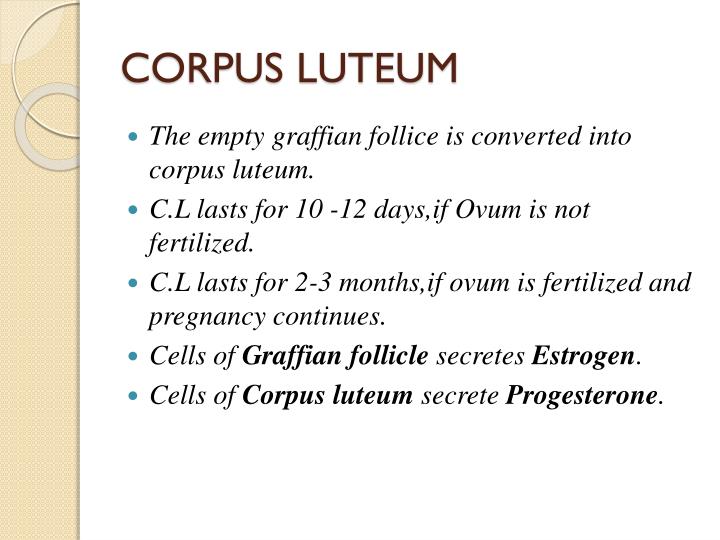 PPT - EMBRYOLOGY PowerPoint Presentation - ID:4872276