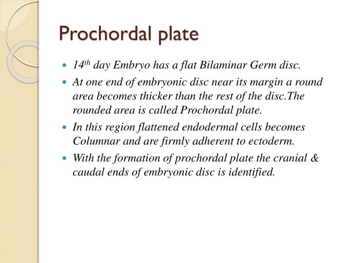 PPT - EMBRYOLOGY PowerPoint Presentation - ID:4872276