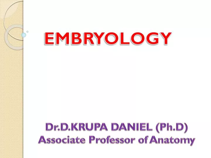 PPT - EMBRYOLOGY PowerPoint Presentation, free download - ID:4872276