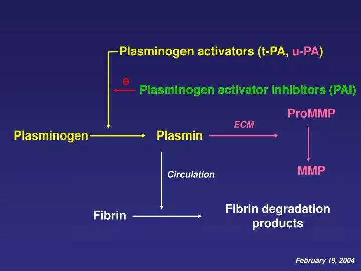 PPT - Plasmin PowerPoint Presentation, free download - ID:4872533