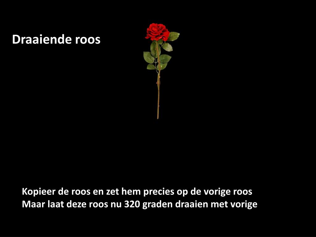 PPT - Zet deze roos op de plaats, precies in het midden PowerPoint ...