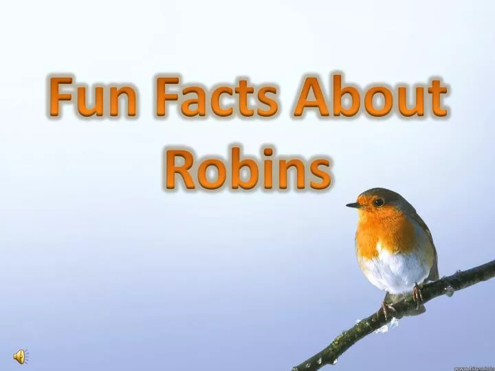 PPT - Fun Facts About Robins PowerPoint Presentation, free download ...