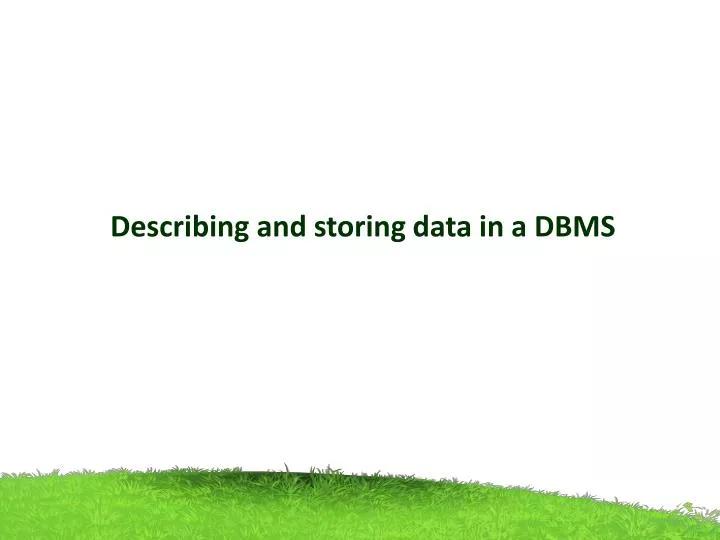 PPT - Describing and storing data in a DBMS PowerPoint Presentation ...