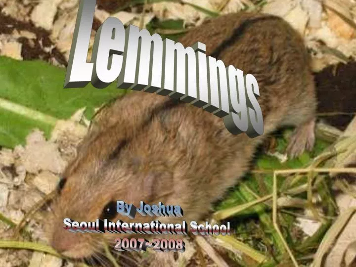 PPT - Lemmings PowerPoint Presentation, free download - ID:4879407