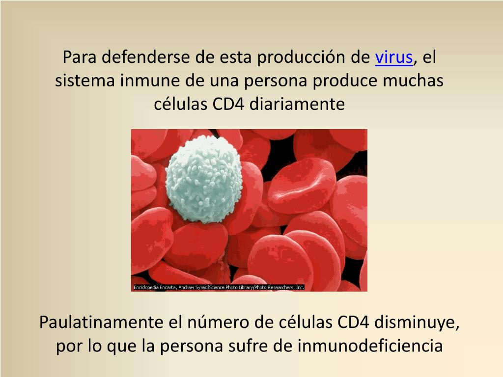 PPT - SIDA ( síndrome de inmunodeficiencia adquirida ) PowerPoint ...