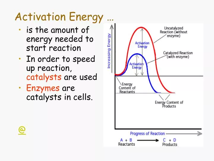 What Is Activation Energy Definition And Examples | My XXX Hot Girl What Is Activation Energy Definition And Examples | My XXX Hot Girl