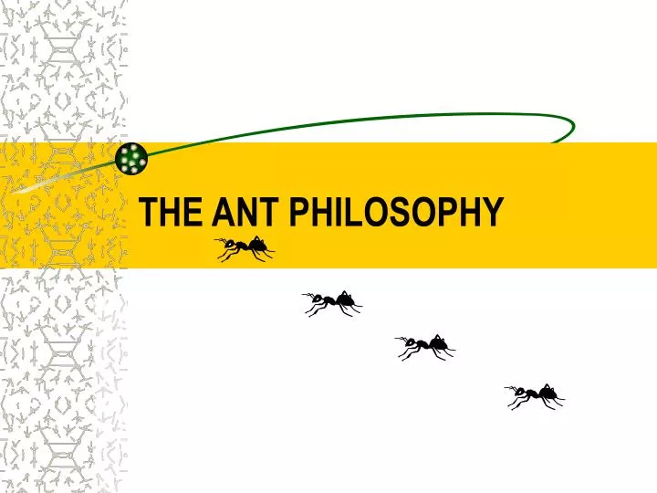 PPT - THE ANT PHILOSOPHY PowerPoint Presentation, free download - ID:4881436