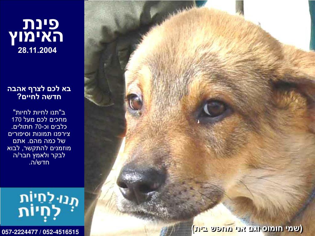 PPT - 057-2224477 / 052-4516515 PowerPoint Presentation, free download ...