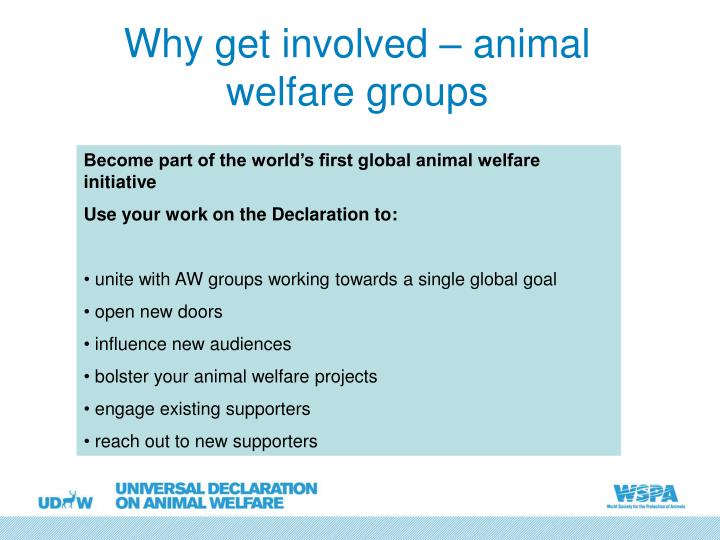 PPT - Universal Declaration On Animal Welfare PowerPoint Presentation ...