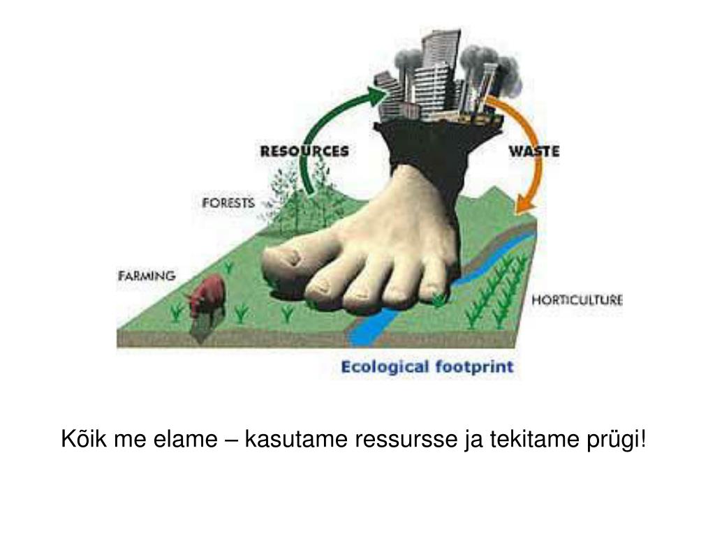 PPT - Kristel Toom Tartu Keskkonnahariduse Keskus PowerPoint ...