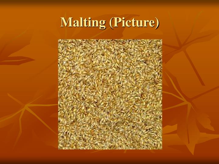 PPT - Introduction to Whisky PowerPoint Presentation - ID:4892494