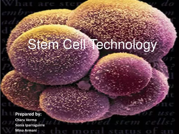 PPT - Stem Cell Technology PowerPoint Presentation, free download - ID:4893298