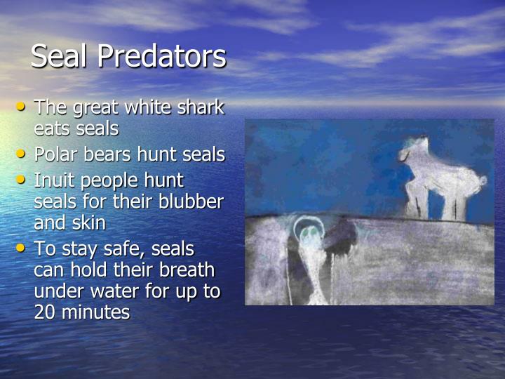 PPT - All About the Arctic PowerPoint Presentation - ID:4895076