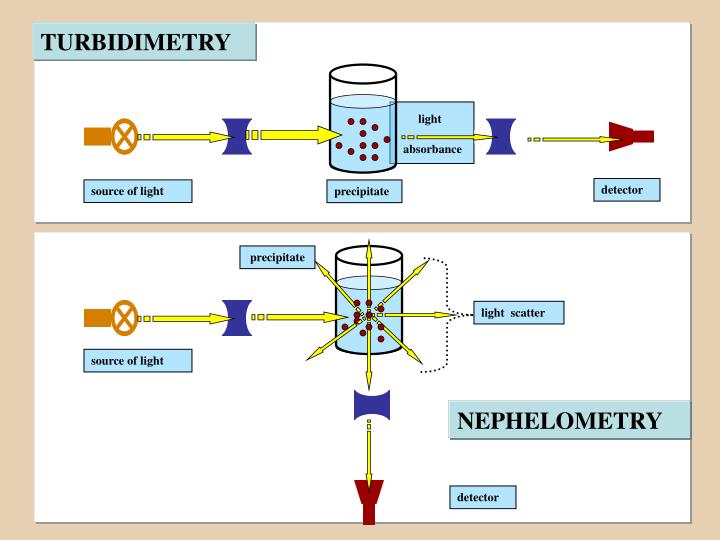 PPT - HUMORAL IMMUNITY (SEROLOGY) PowerPoint Presentation - ID:4895565