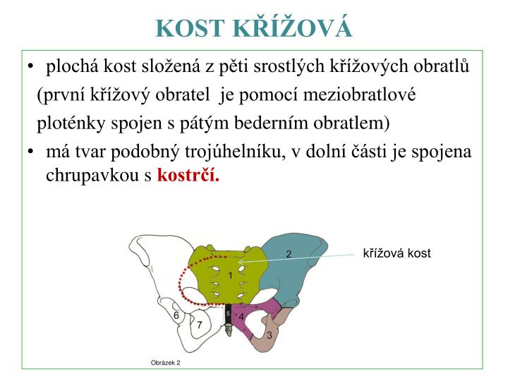 PPT - Digitální učební materiál PowerPoint Presentation - ID:4899635
