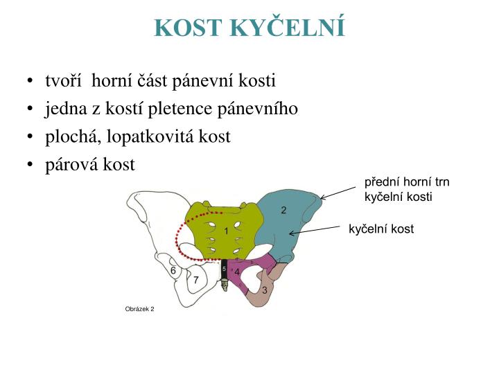 PPT - Digitální učební materiál PowerPoint Presentation - ID:4899635