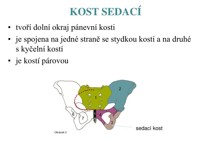 PPT - Digitální učební materiál PowerPoint Presentation - ID:4899635