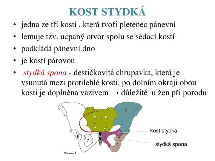 PPT - Digitální učební materiál PowerPoint Presentation - ID:4899635