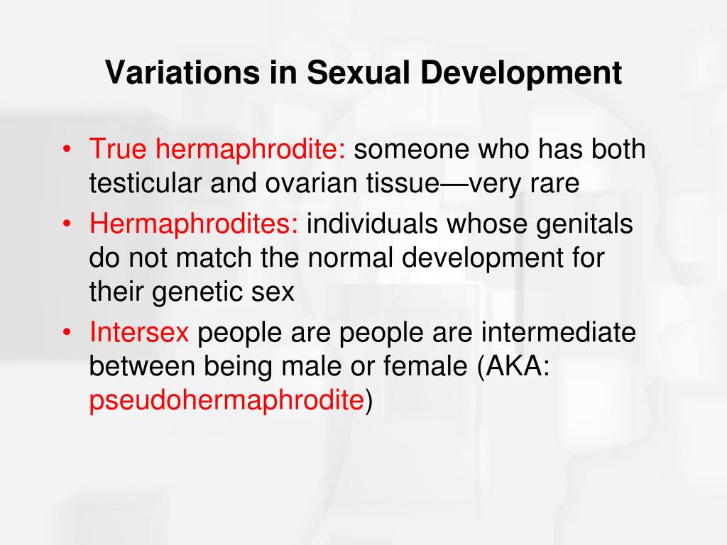 Ppt Chapter 11 Reproductive Behaviors Powerpoint Presentation Free