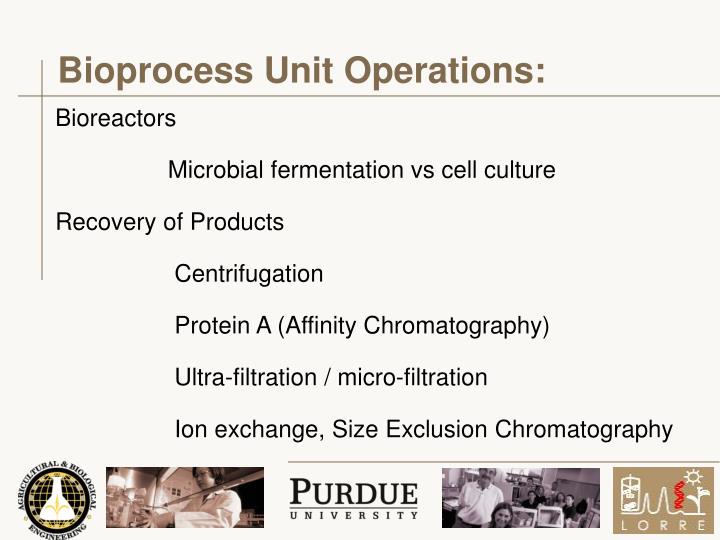 PPT - Bioprocessing PowerPoint Presentation - ID:4901446