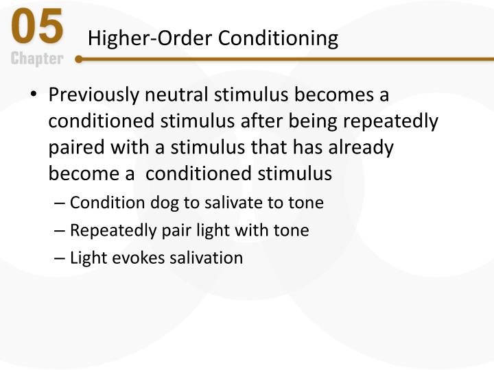PPT - Chapter 5: Learning PowerPoint Presentation - ID:4902267