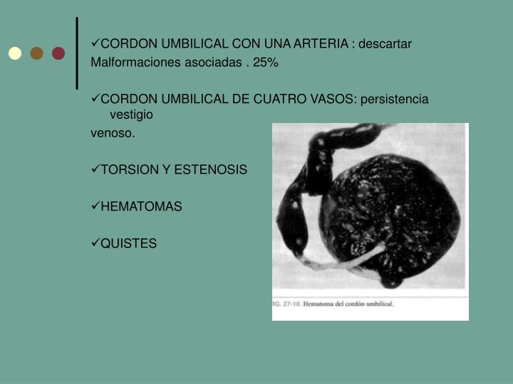 PPT - ANOMALIAS DE LA PLACENTA, CORDON UMBILICAL Y MEMBRANAS PowerPoint ...