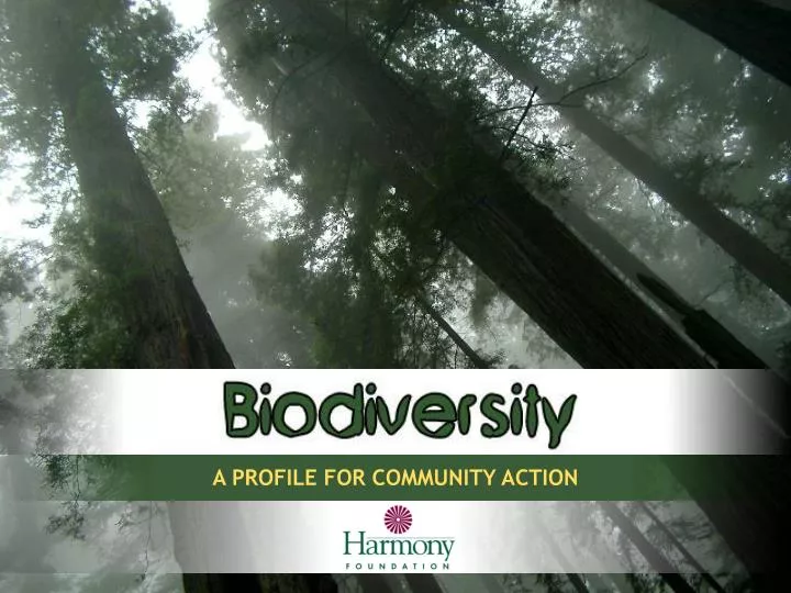 PPT - A PROFILE FOR COMMUNITY ACTION PowerPoint Presentation, free ...