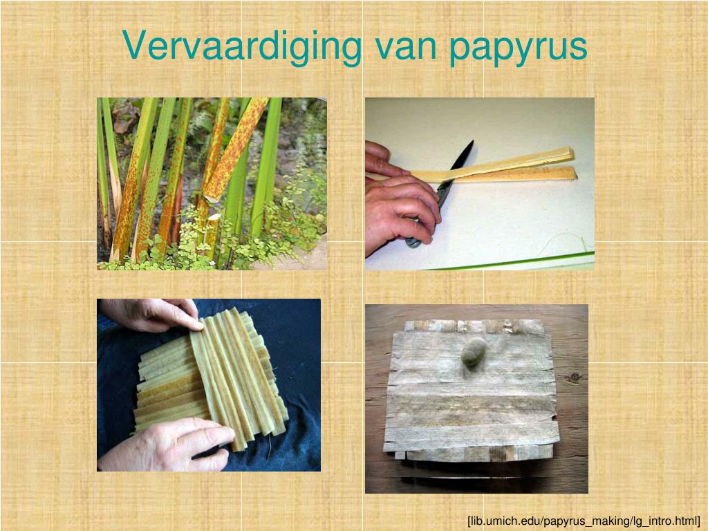 PPT - Antieke bronnen en materi ë le cultuur van de Grieks-Romeinse ...