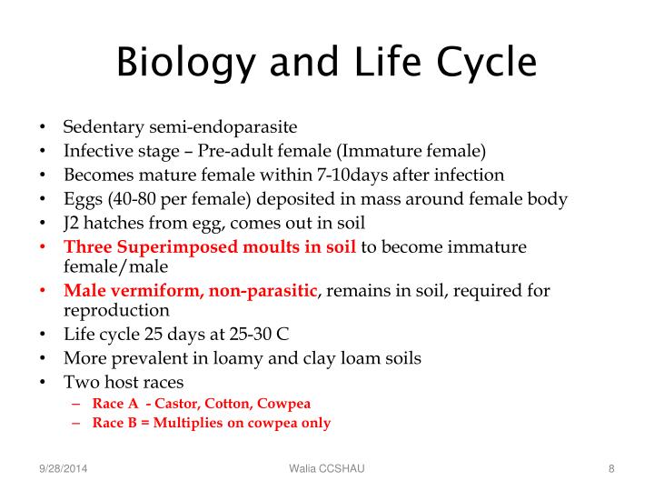 PPT - Reniform nematode Rotylenchulus reniformis PowerPoint ...