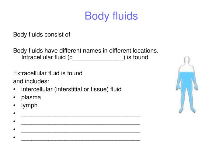PPT - Regulation of body fluids PowerPoint Presentation - ID:4908161