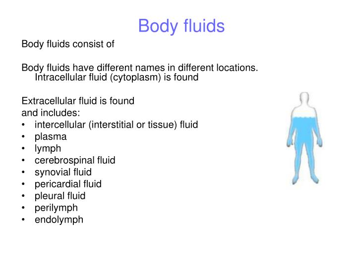 Ppt Regulation Of Body Fluids Powerpoint Presentation Id4908161