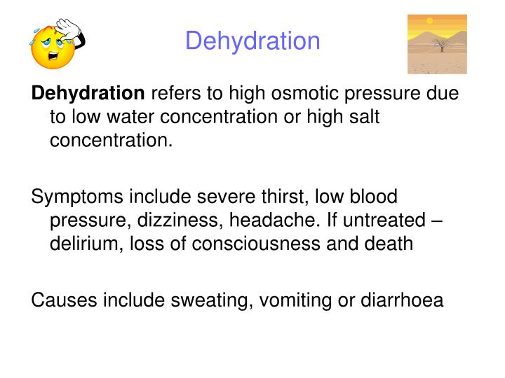 PPT - Regulation of body fluids PowerPoint Presentation - ID:4908161