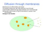 PPT - Regulation of body fluids PowerPoint Presentation - ID:4908161