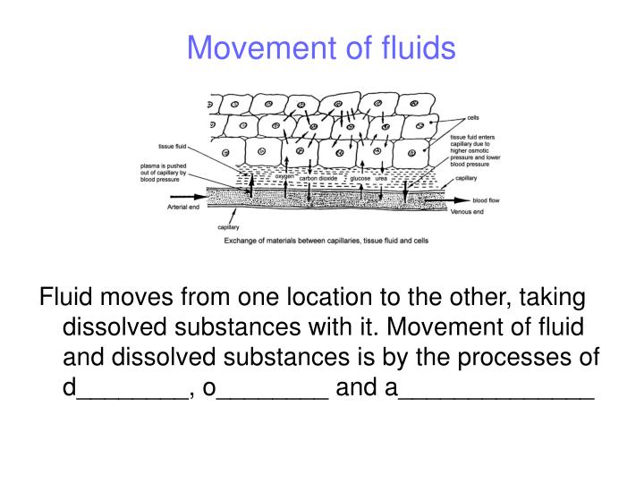 PPT - Regulation of body fluids PowerPoint Presentation - ID:4908161