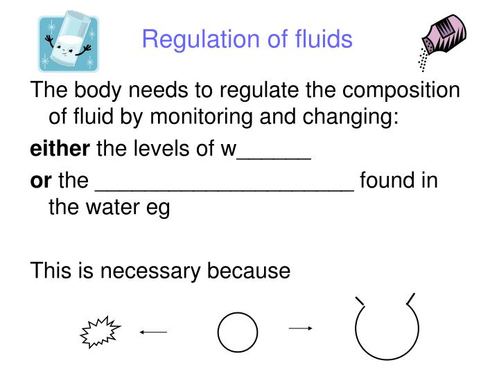 PPT - Regulation of body fluids PowerPoint Presentation - ID:4908161