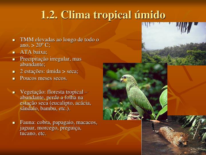 PPT - TIPOS DE CLIMAS PowerPoint Presentation - ID:4909407
