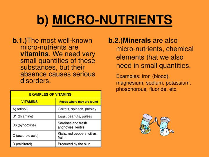 PPT - 0. PREVIOUS CONCEPTS OF BIOLOGY 1. FOOD AND NUTRITIONAL ...